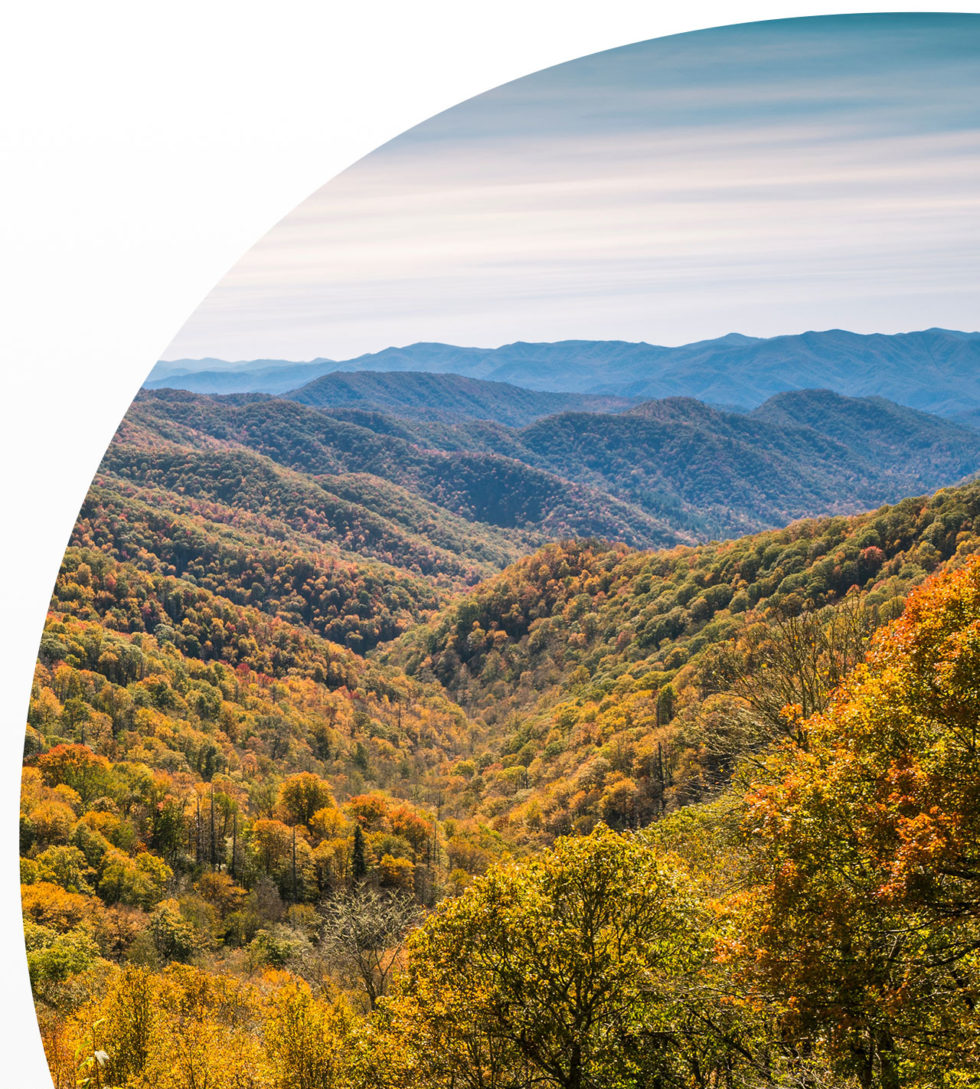 Arrow Creek Campground | Family Friendly RV Camping in the Smoky Mountains